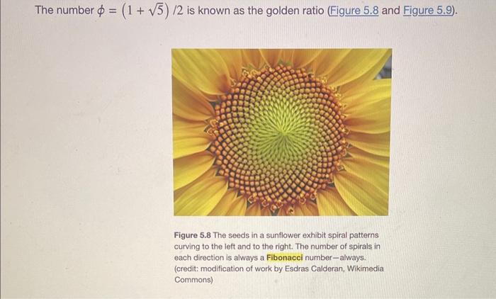 Solved Fibonacci Numbers The Fibonacci numbers are defined | Chegg.com