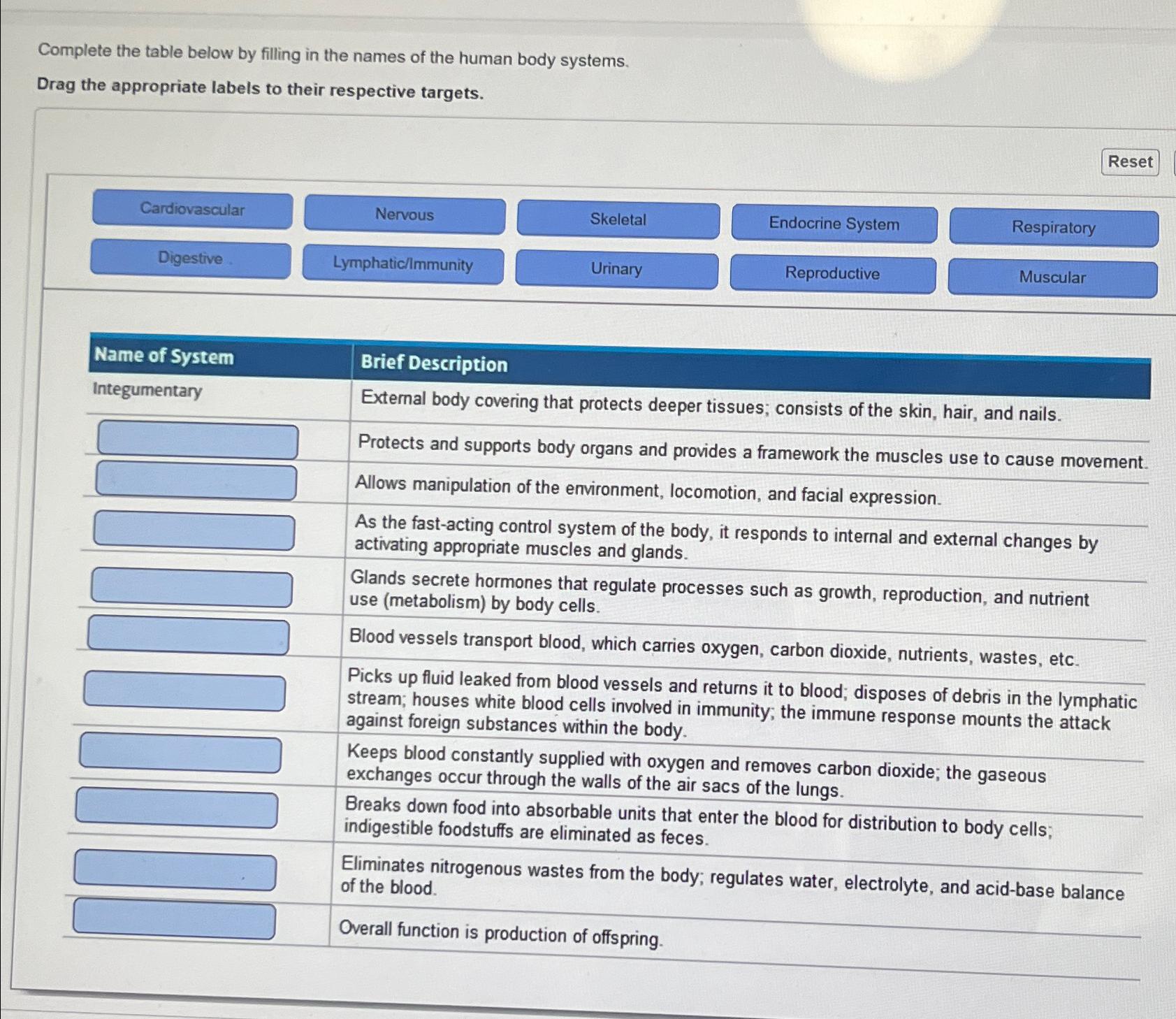 Solved Complete the table below by filling in the names of | Chegg.com