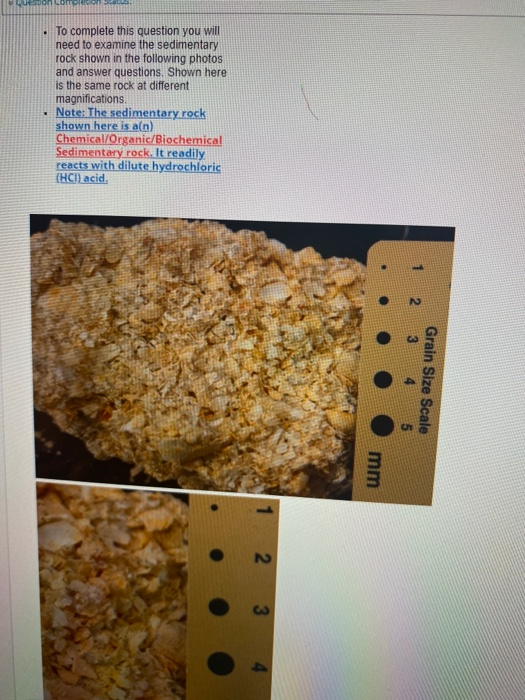 To complete this question you will need to examine | Chegg.com