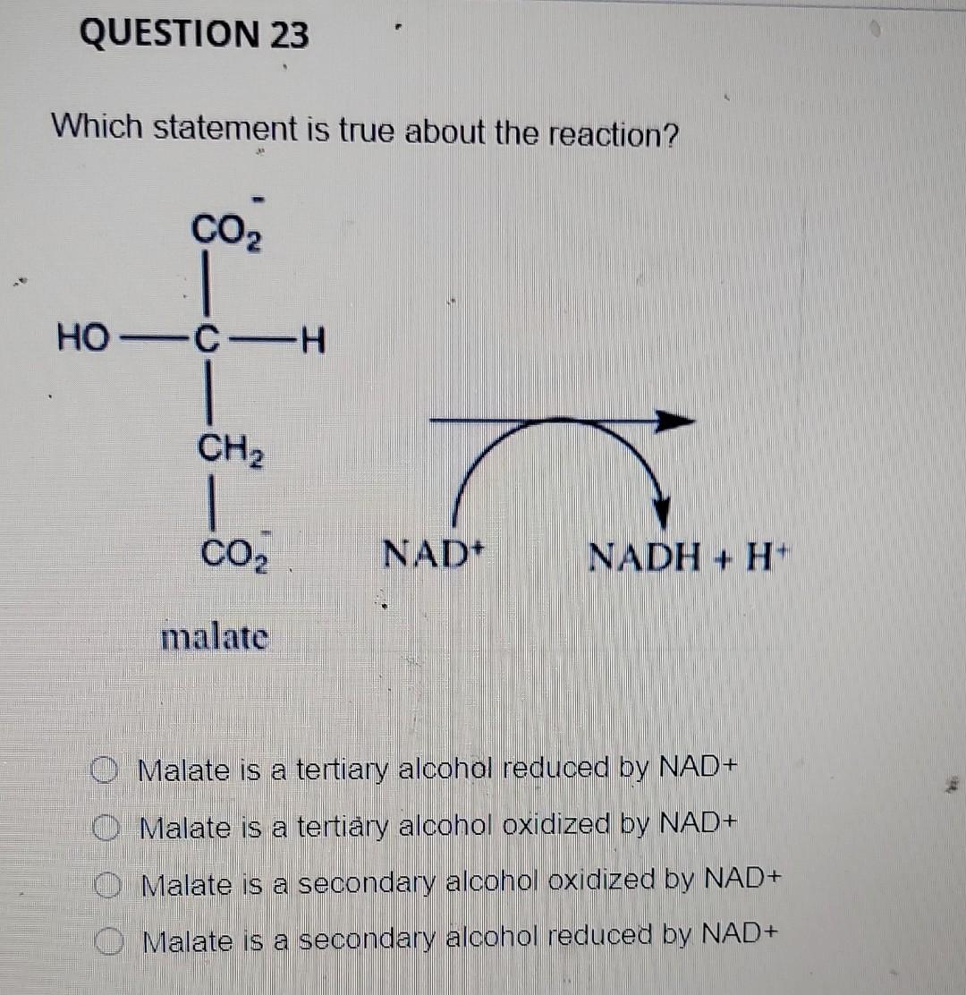 Solved In the second step of the citric acid cycle, citrate | Chegg.com