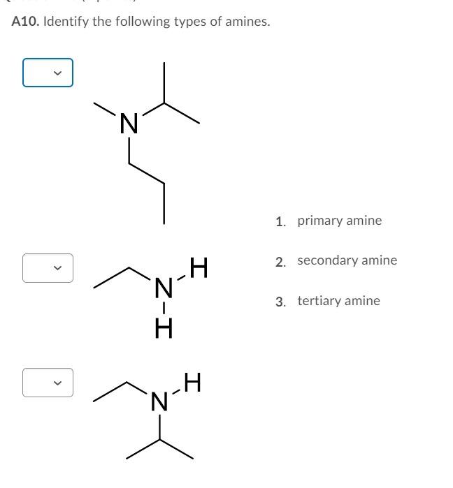 Solved A10. Identify the following types of amines. N 1. | Chegg.com