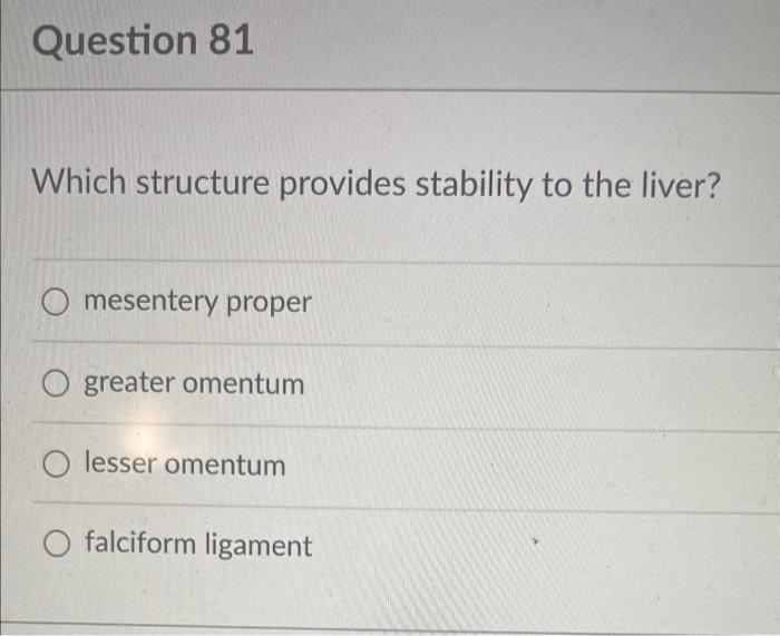 Solved Which structure provides stability to the liver? | Chegg.com
