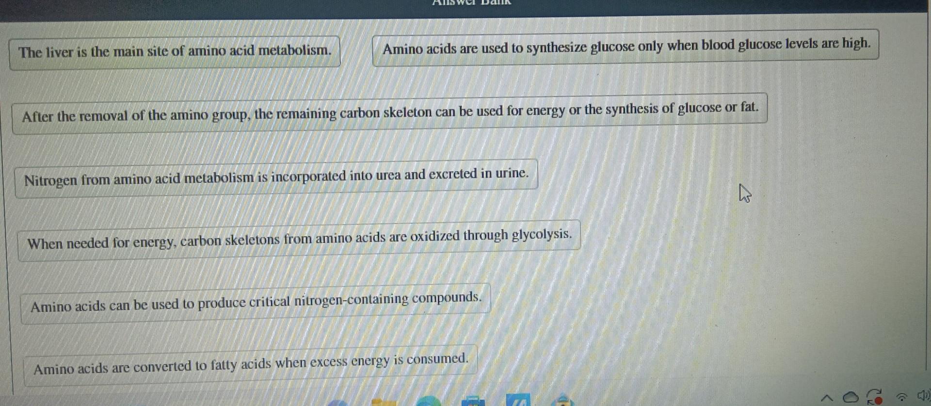 Solved Put statements about amino acids and metabolism in | Chegg.com