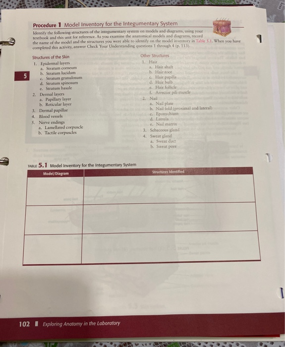 Solved 1 5 Procedure 1 Model Inventory for the Integumentary | Chegg.com