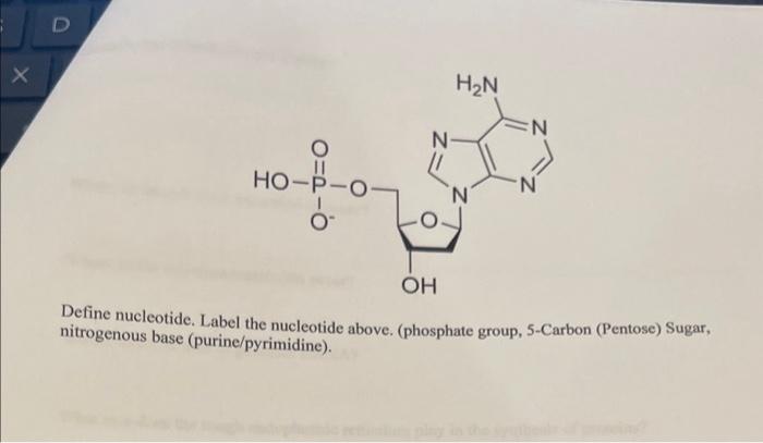 Solved Define nucleotide. Label the nucleotide above. | Chegg.com