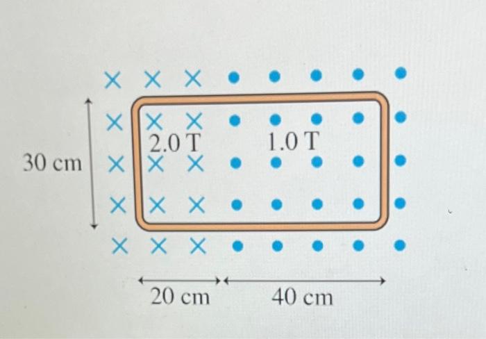 Solved What is the magnitude of the magnetic flux through | Chegg.com