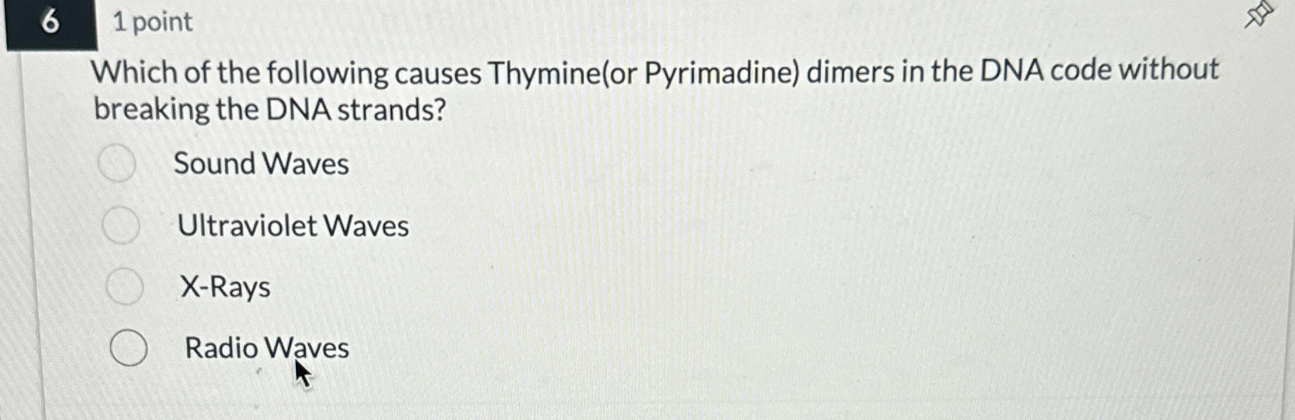 Solved 61 ﻿pointWhich of the following causes Thymine(or | Chegg.com