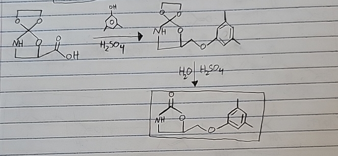 Solved is the acetal protecting group needed to select for | Chegg.com