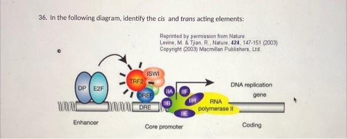 Solved 36 In The Following Diagram Identify The Cis And