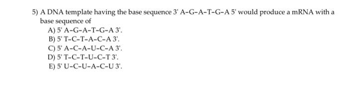 Solved 5) A DNA template having the base sequence 3′ | Chegg.com
