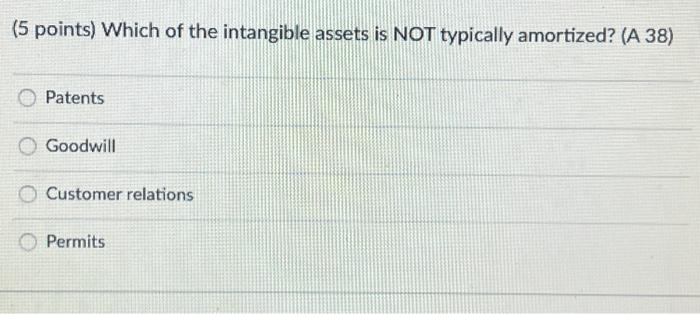 Solved (5 points) Which of the intangible assets is NOT | Chegg.com