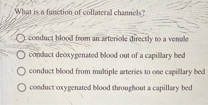 Solved What is a function of collateral channels? conduct | Chegg.com