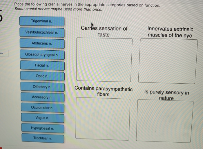 Solved Place the following cranial nerves in the appropriate | Chegg.com Solved Place the following cranial nerves in the appropriate | Chegg.com
