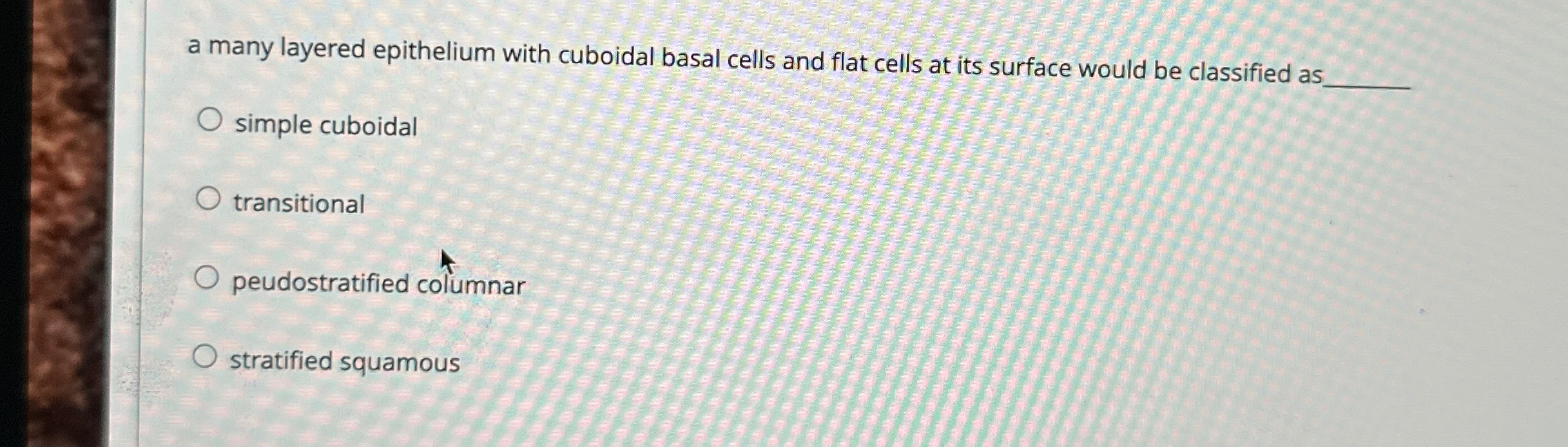 Solved a many layered epithelium with cuboidal basal cells | Chegg.com