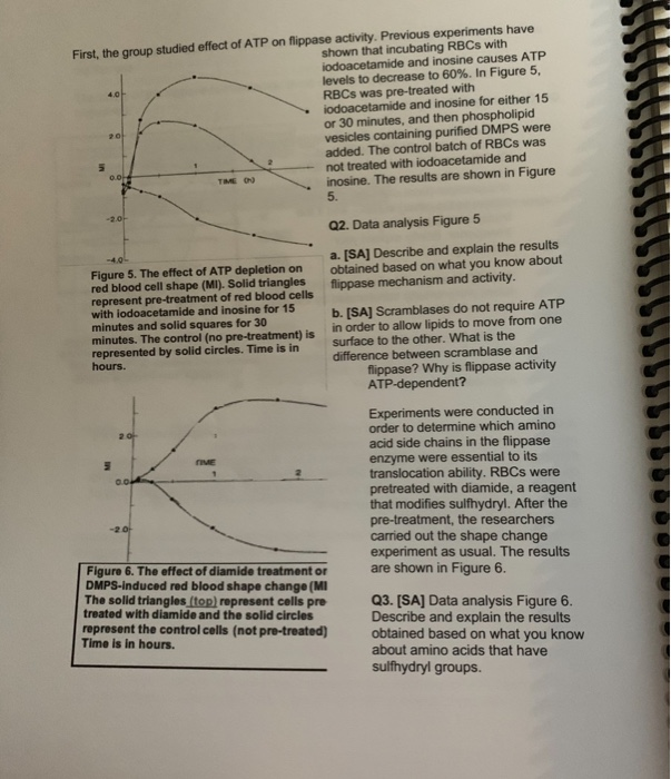 Solved First, the group studied effect of ATP on flippase | Chegg.com
