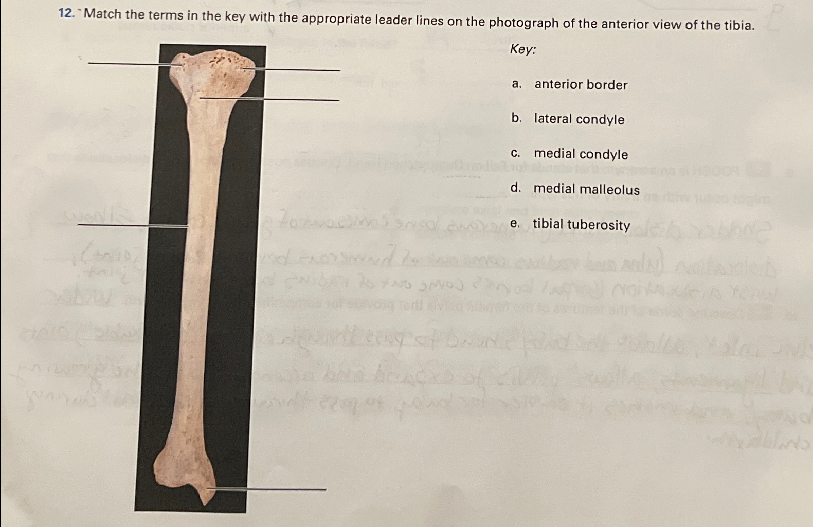 Solved Match the terms in the key with the appropriate | Chegg.com