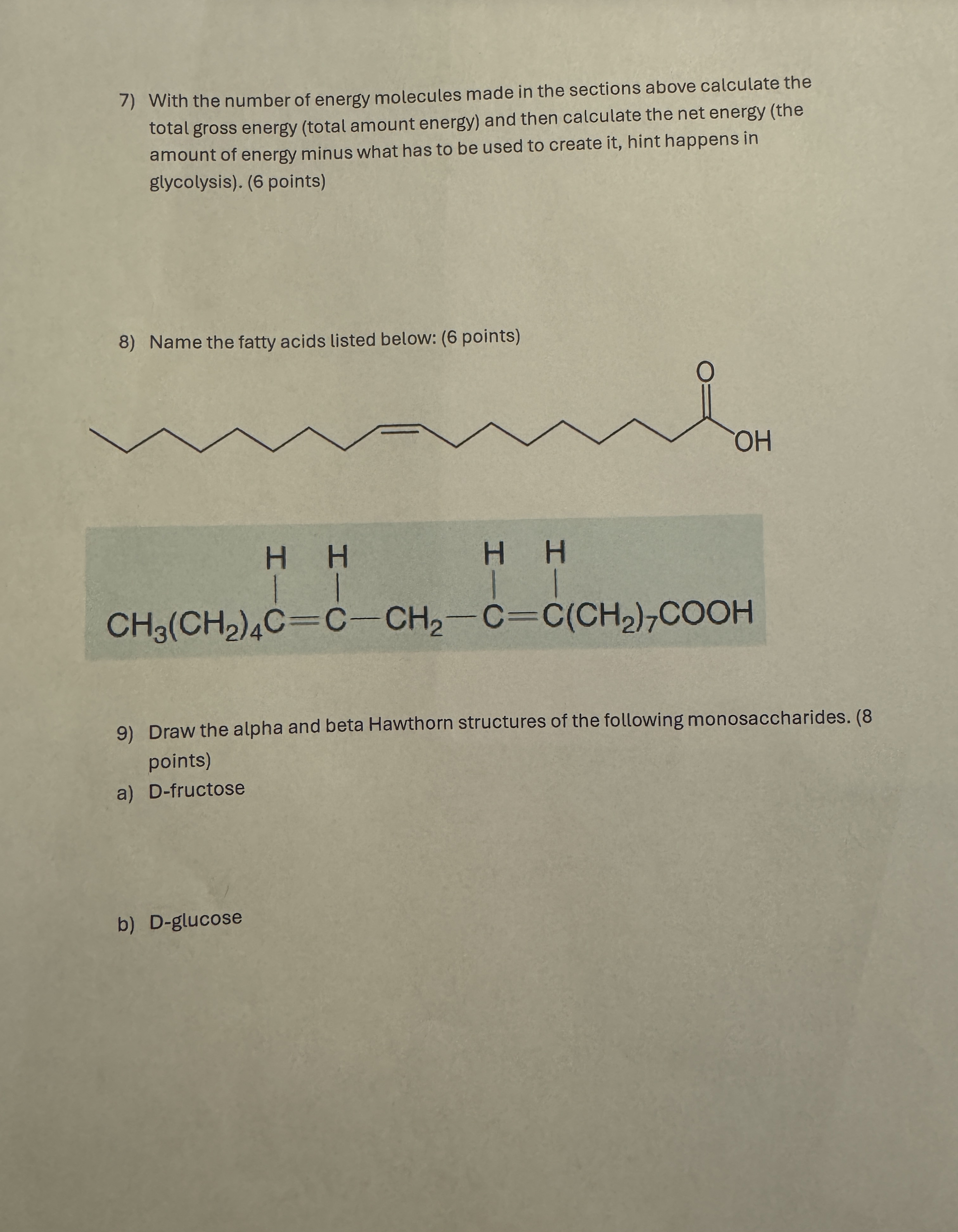 Solved With the number of energy molecules made in the | Chegg.com