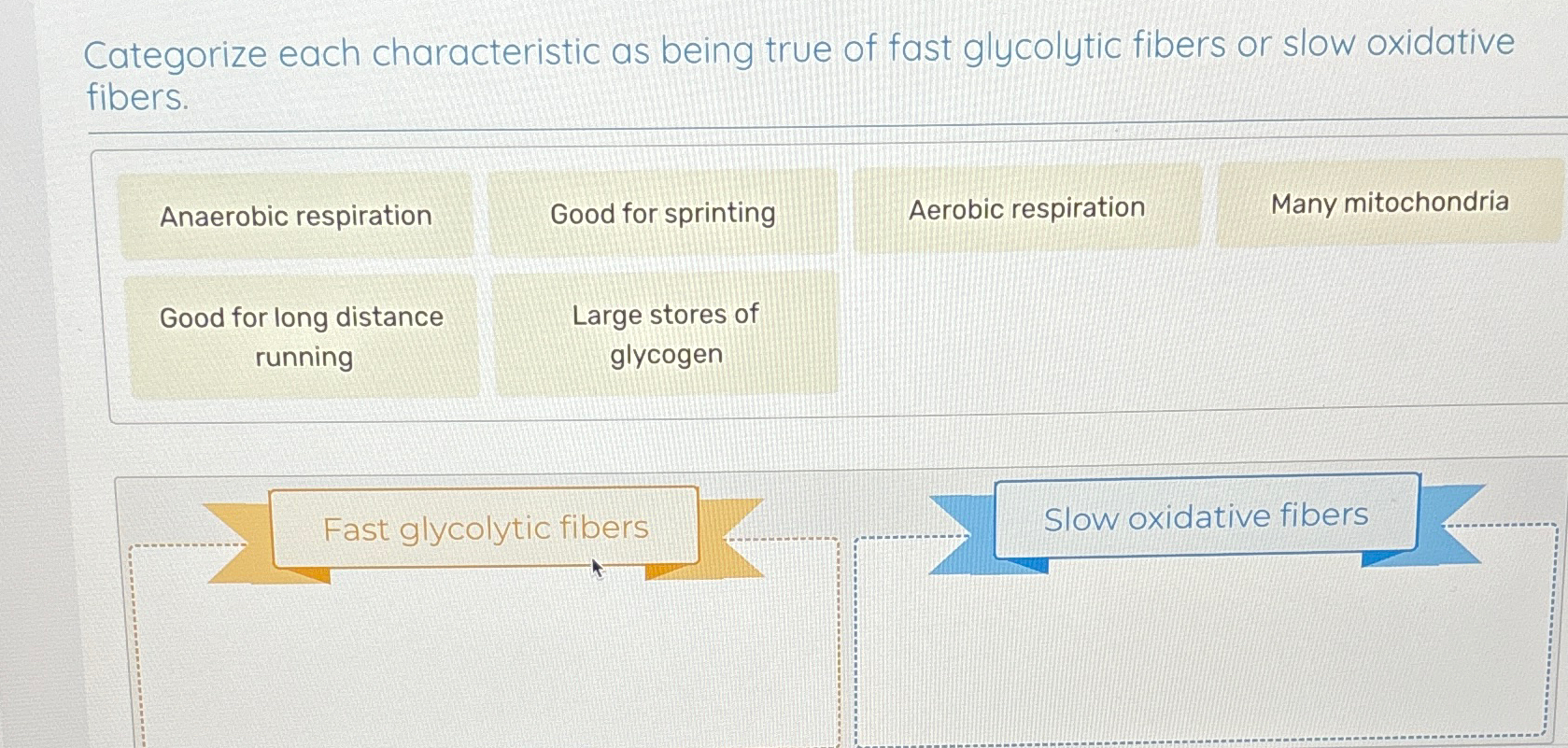 Solved Categorize each characteristic as being true of fast | Chegg.com Solved Categorize each characteristic as being true of fast | Chegg.com