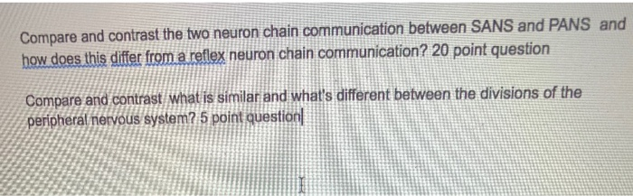 Solved Compare and contrast the two neuron chain | Chegg.com