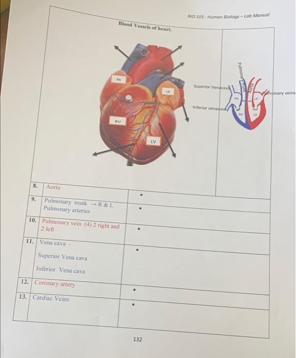 Solved NO 102-Human Biology - Lab Manual Activity 3: | Chegg.com