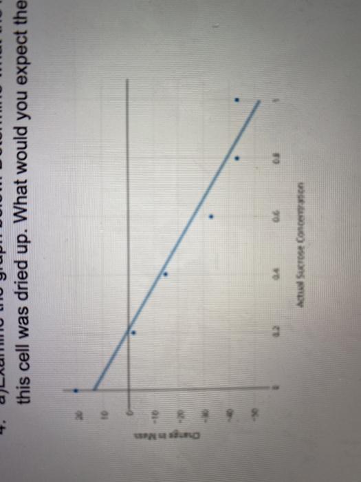 Solved 4. a)Examine the graph below. Determine what the | Chegg.com