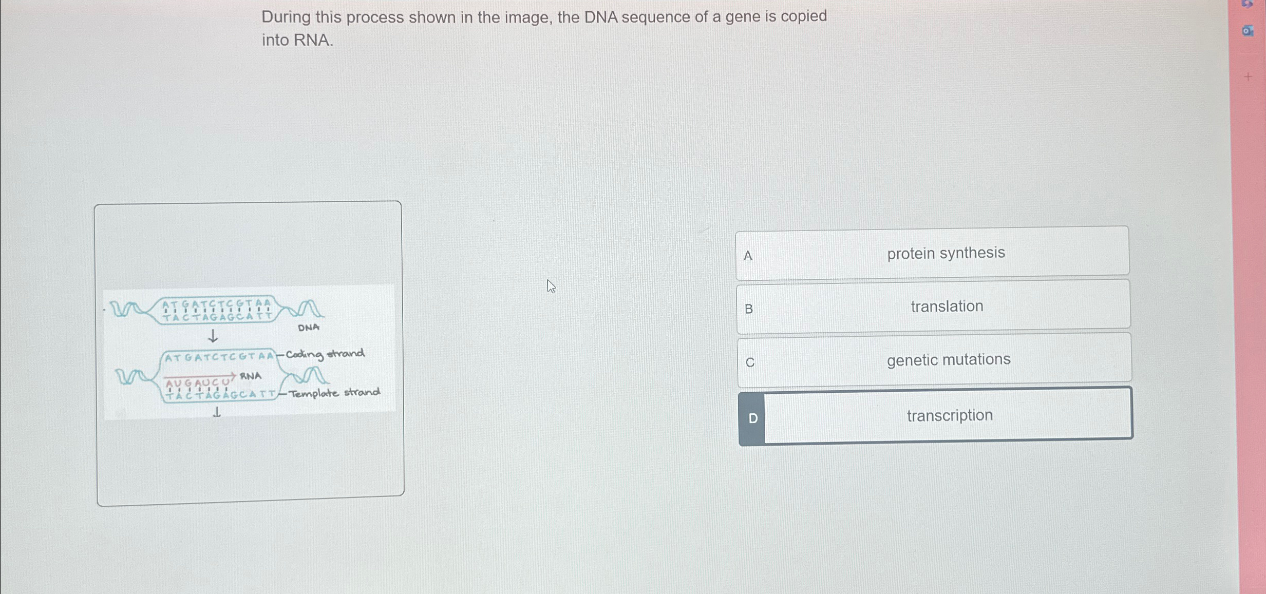 Solved During this process shown in the image, the DNA | Chegg.com