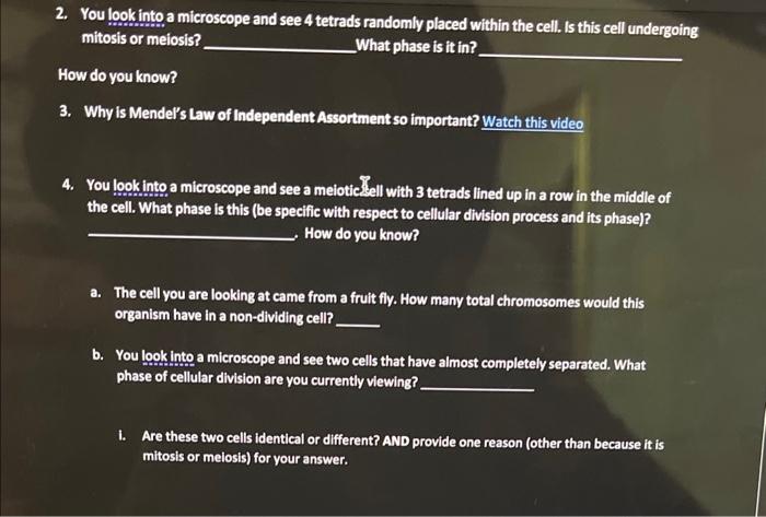 Solved 2. You look into a microscope and see 4 tetrads | Chegg.com