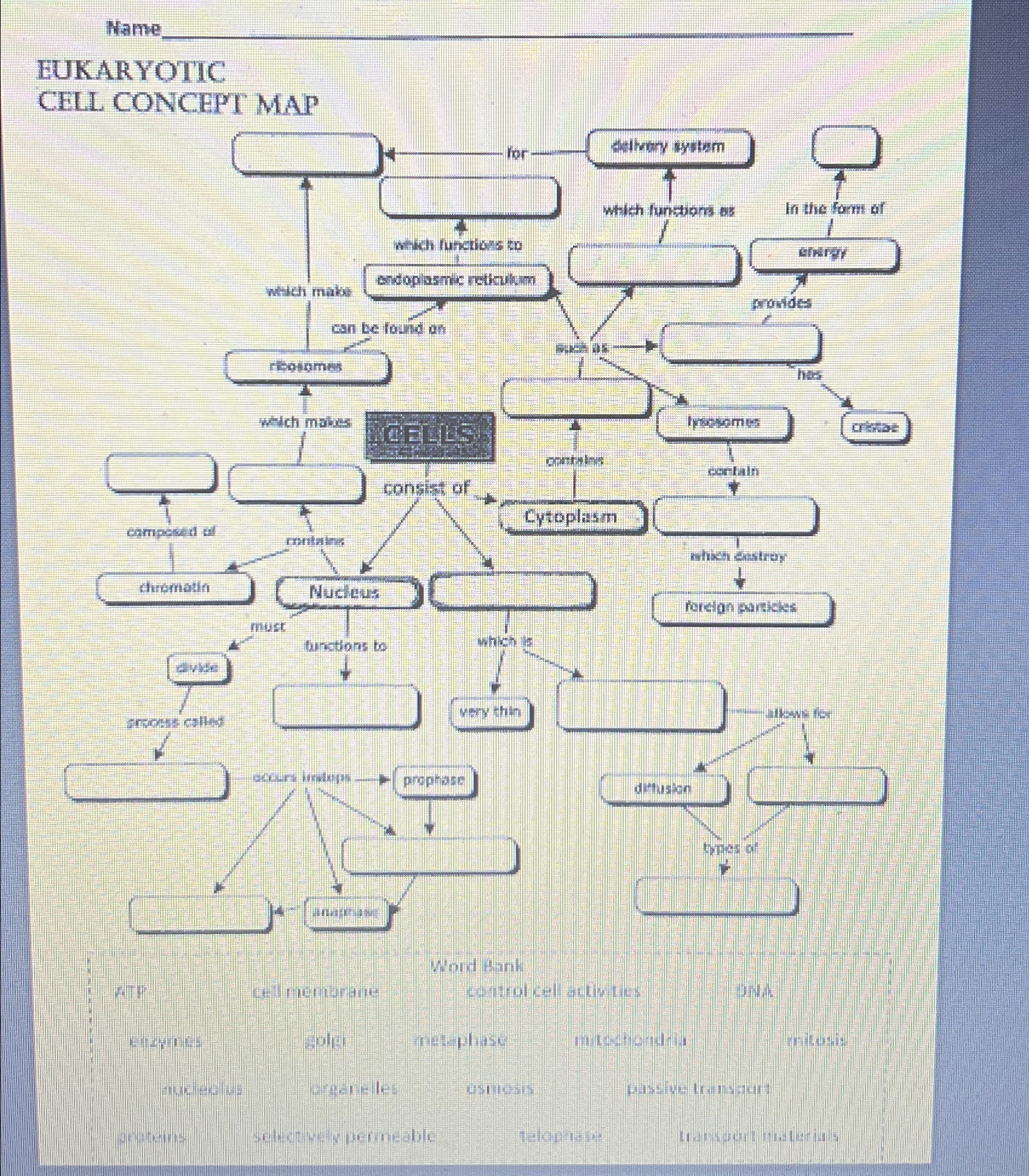 Solved NameEUKARYOTICCELL CONCEPT MAPwheolus prene | Chegg.com