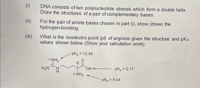 Solved (i) DNA consists of two polynucleotide strands which | Chegg.com