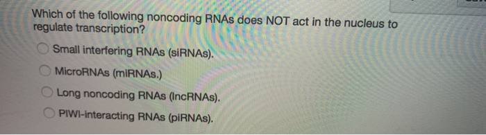 Solved Which of the following noncoding RNAs does NOT act in | Chegg.com