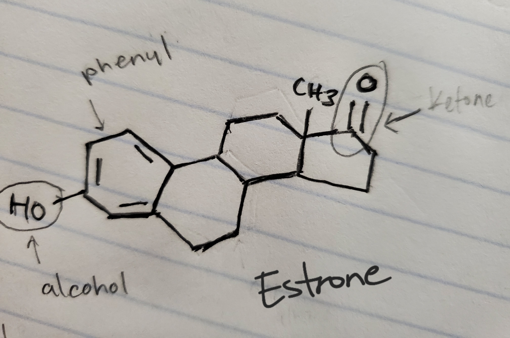 please check my work | Chegg.com