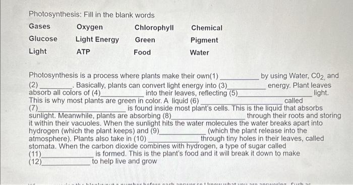 Solved Photosynthesis: Fill in the blank words | Chegg.com