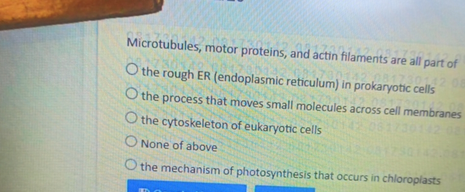 Solved Microtubules, motor proteins, and actin filaments are | Chegg.com