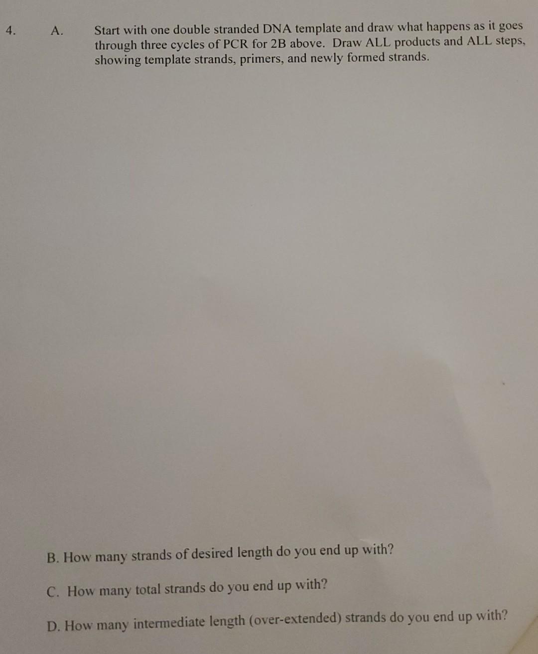Solved 4. A. Start with one double stranded DNA template and | Chegg.com