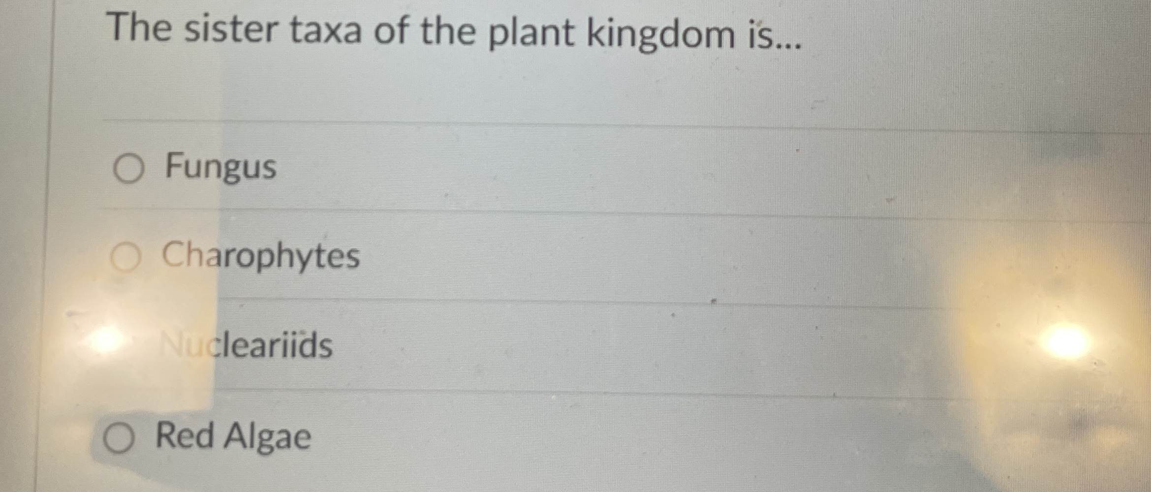 Solved The sister taxa of the plant kingdom | Chegg.com
