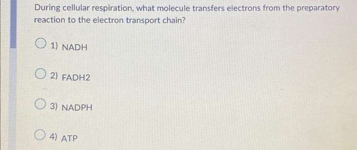 Solved During cellular respiration, what molecule transfers | Chegg.com