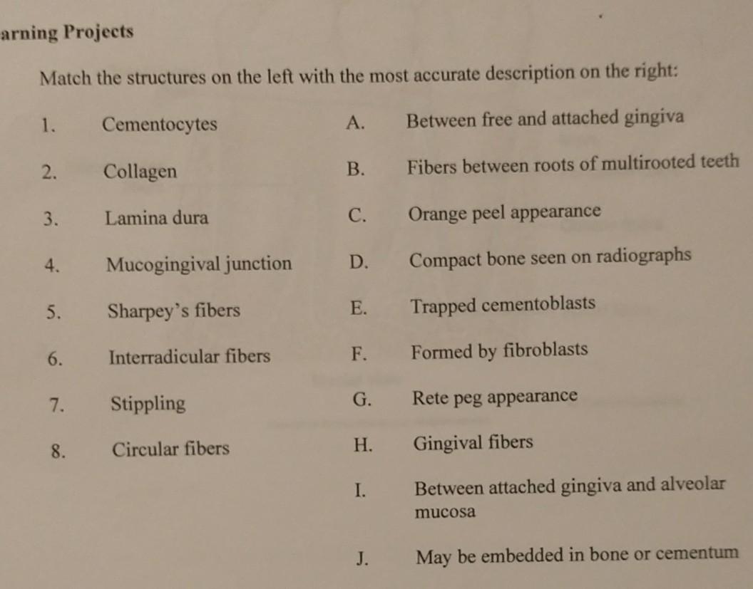 Solved arning Projects Match the structures on the left with | Chegg.com