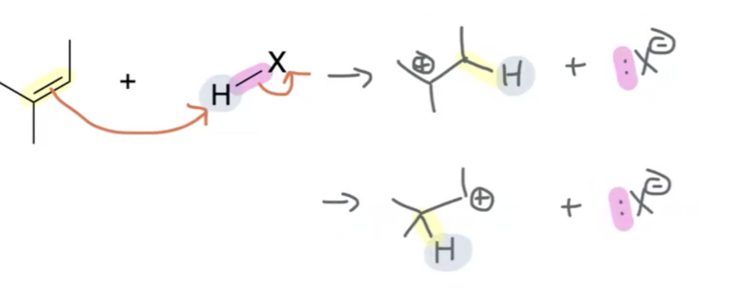 Solved Which intermediates would be major?Question 10 | Chegg.com