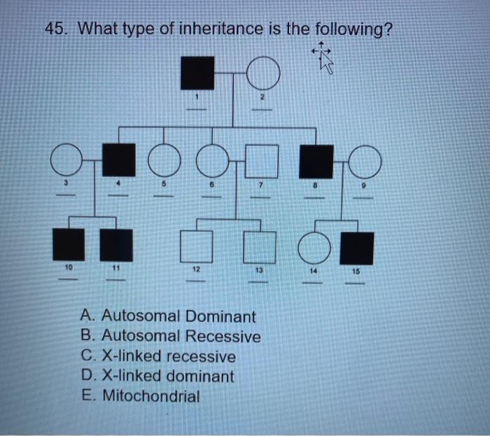 44. What type of inheritance is the following? A. | Chegg.com