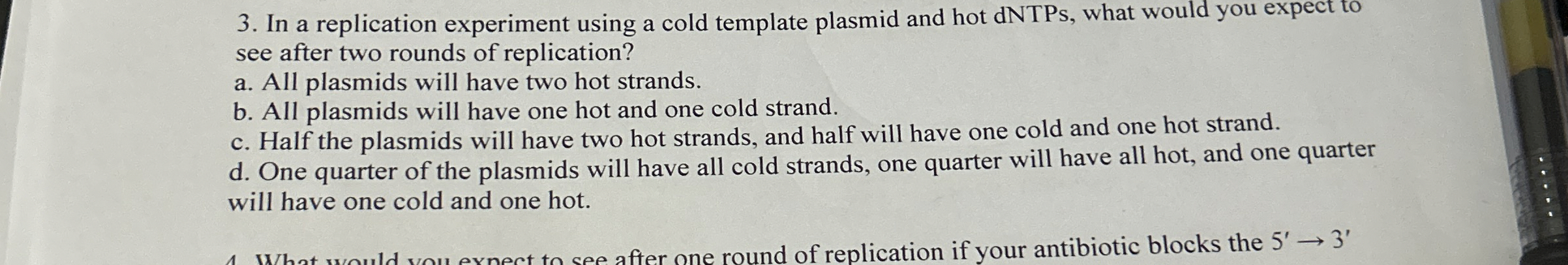 Solved In a replication experiment using a cold template | Chegg.com