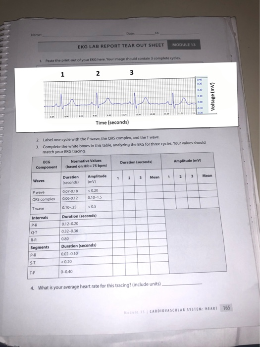 Solved Name D TA EKG LAB REPORT TEAR OUT SHEET MODULE 13 1. | Chegg.com
