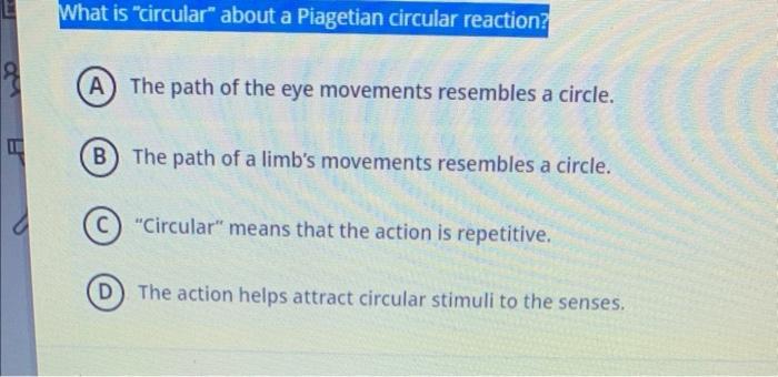 Solved What is "circular" about a Piagetian circular | Chegg.com