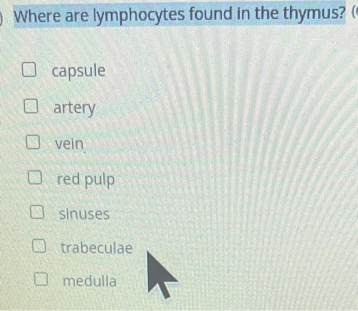 Solved Where are lymphocytes found in the thymus? capsule | Chegg.com