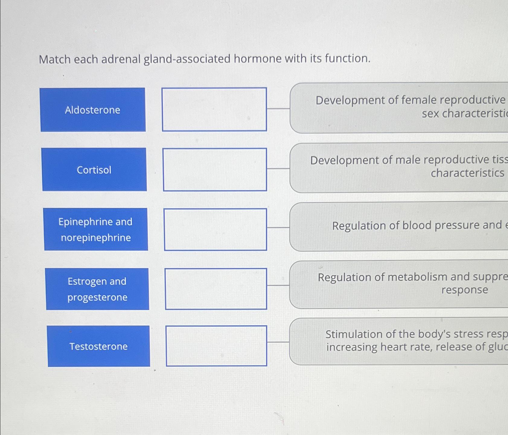Solved Match each adrenal gland-associated hormone with its | Chegg.com