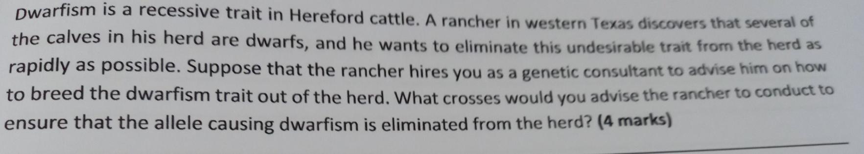 Solved Dwarfism is a recessive trait in Hereford cattle. A | Chegg.com