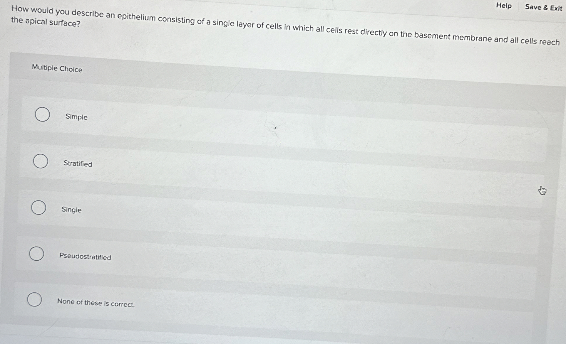 Solved the apical surface?Multiple | Chegg.com