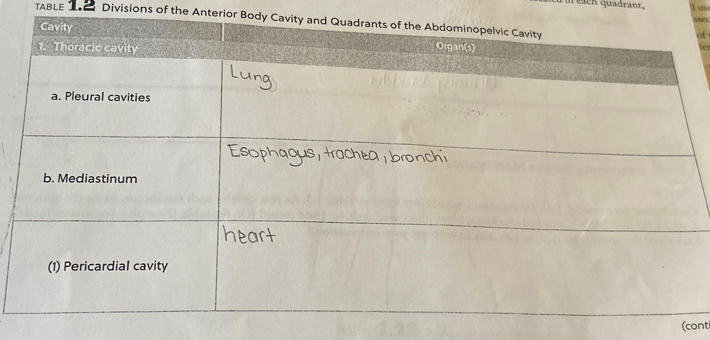Solved TABLE 1.2 ﻿Divisions of the Anterior Body Cavity and | Chegg.com
