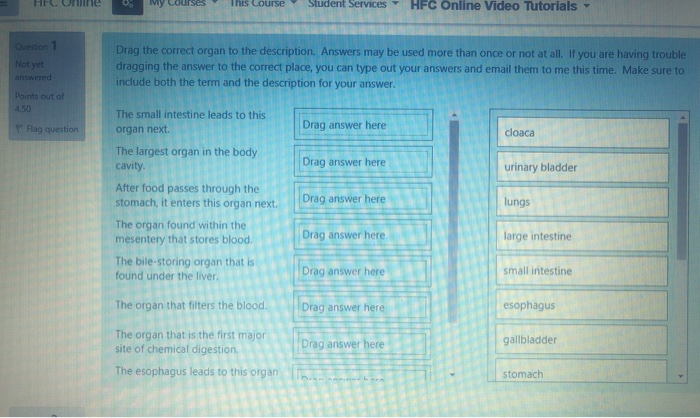 Solved This Course Student Services HFC Online Video | Chegg.com
