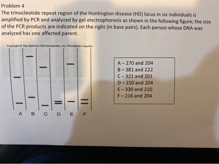 Solved Problem 4 The Trinucleotide Repeat Region Of The