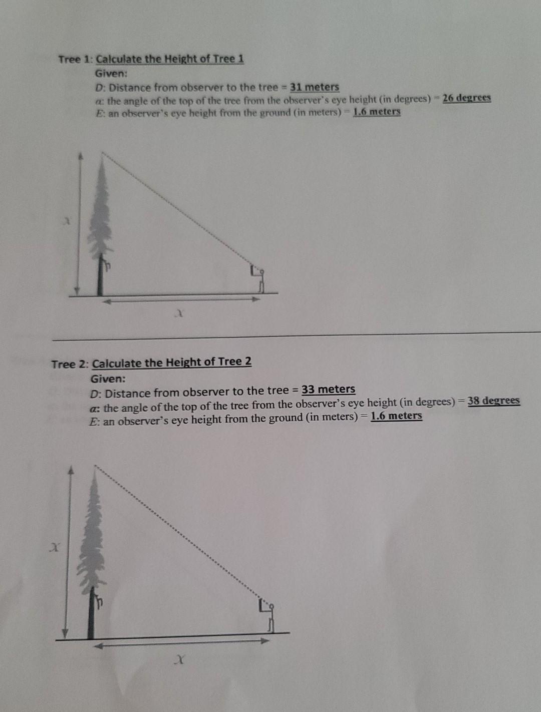 Solved Tree 1: Calculate the Height of Tree 1 Given: D: | Chegg.com